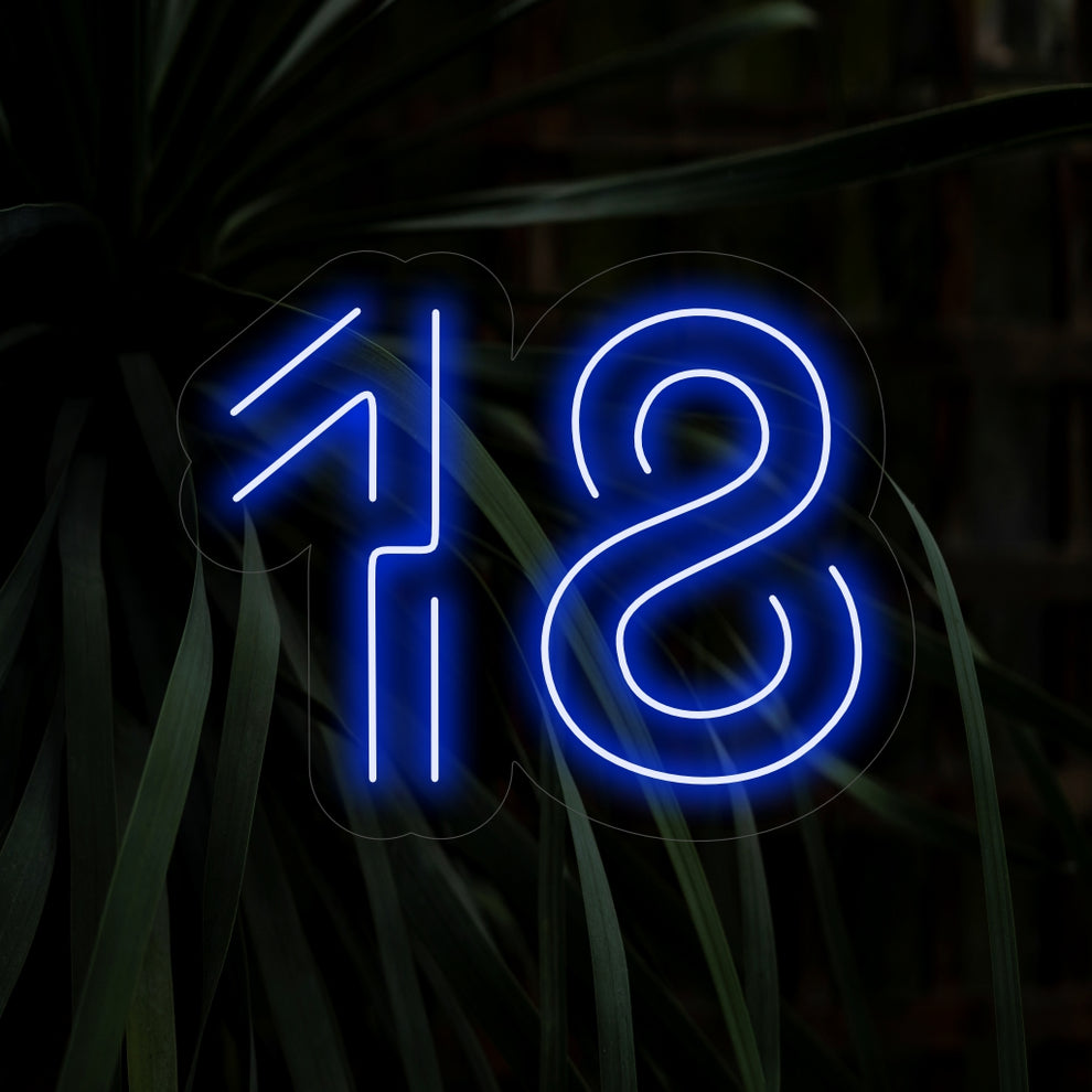 The Art Neon - Illuminate Your Milestone with a Vibrant 18th Birthday ...