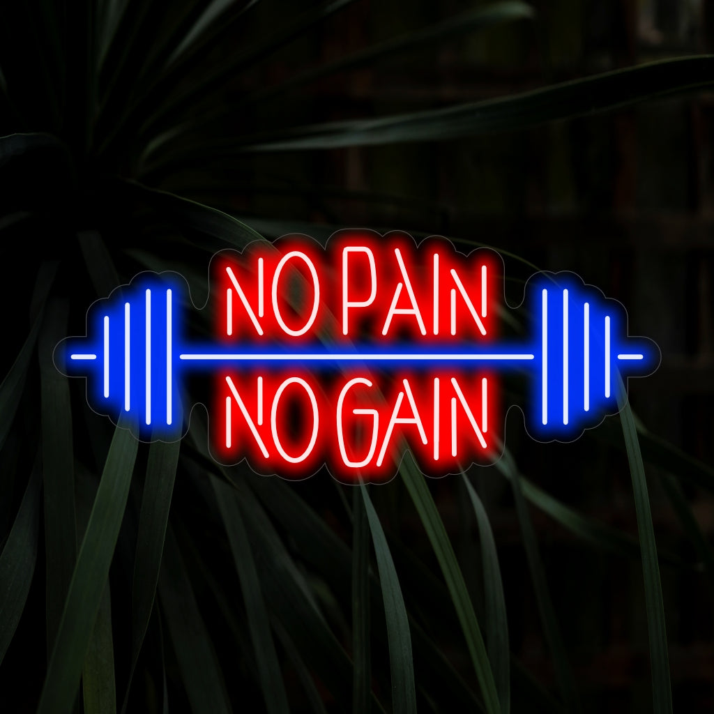 Fitness Motivation: No Pain No Gain Neon Sign | The Art Neon