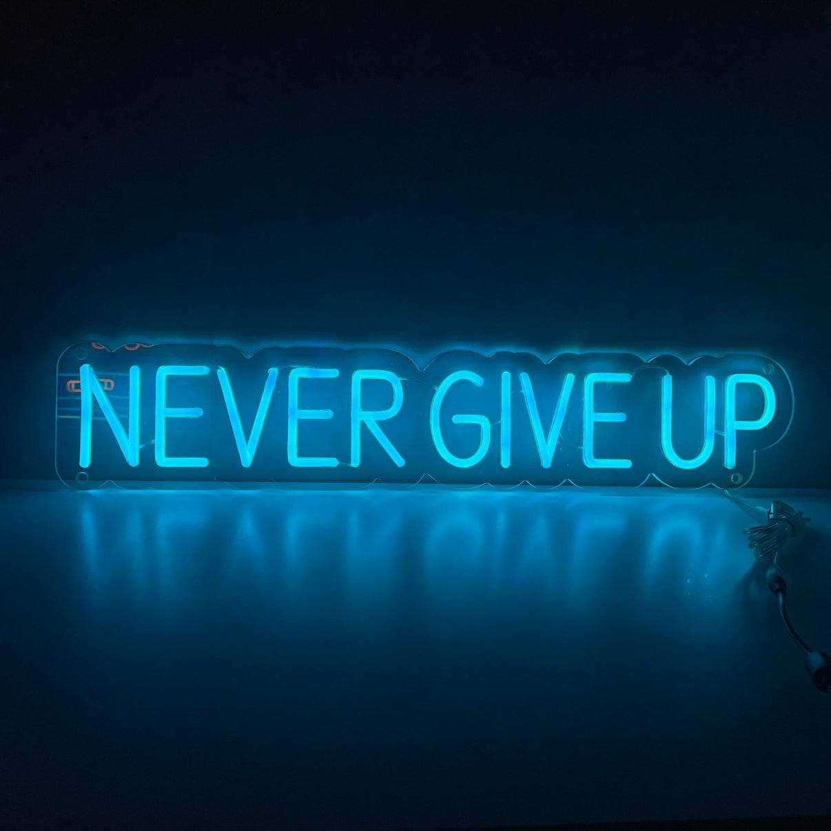 Persevere and Prevail: 'Never Give Up' Neon Sign by The Art Neon