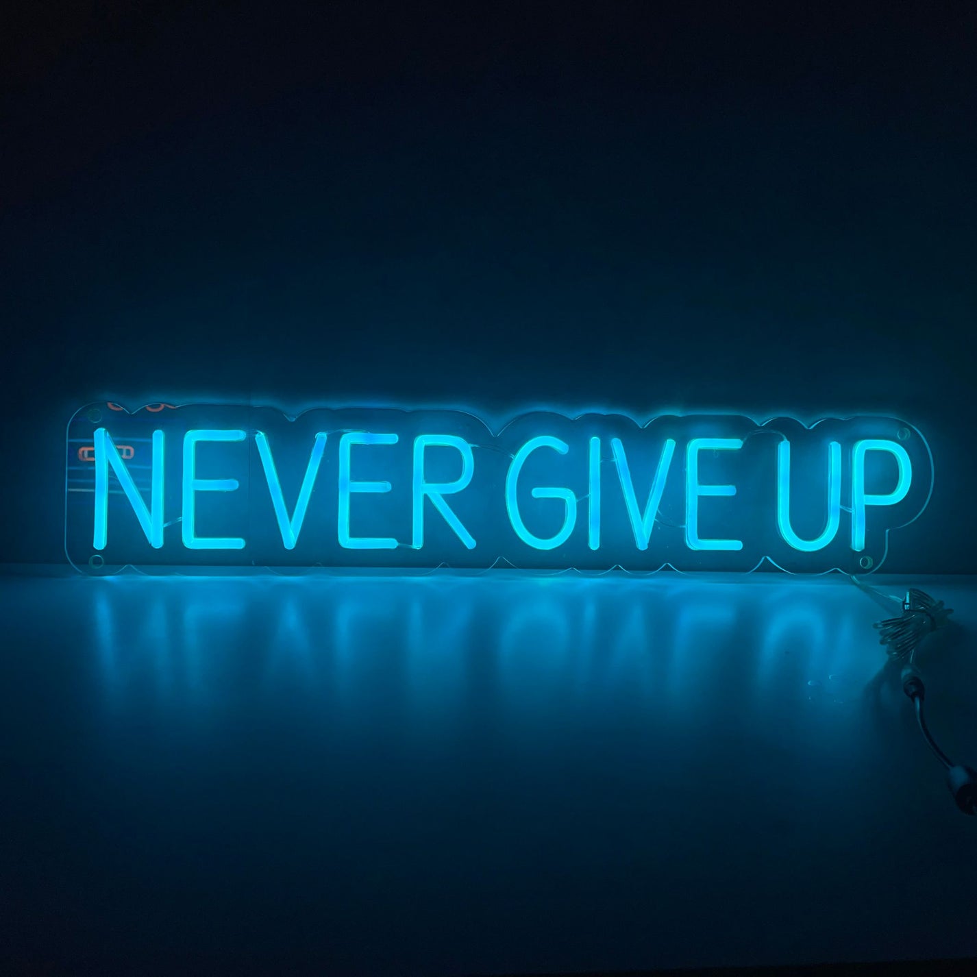 Persevere and Prevail: 'Never Give Up' Neon Sign by The Art Neon